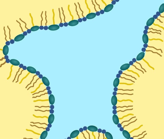 Water-Soluble Cannabis Oils: Microemulsion, Liposomes or Nanoemulsion?